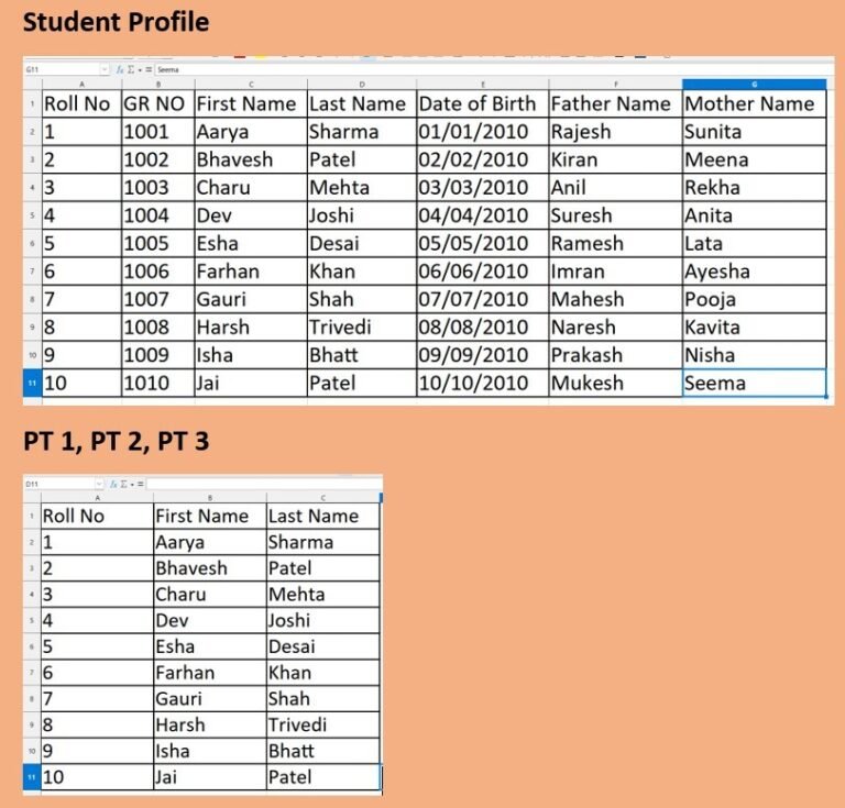 Class 10 IT Practical File on Electronic Spreadsheet 2024-25 (Assignment 3)